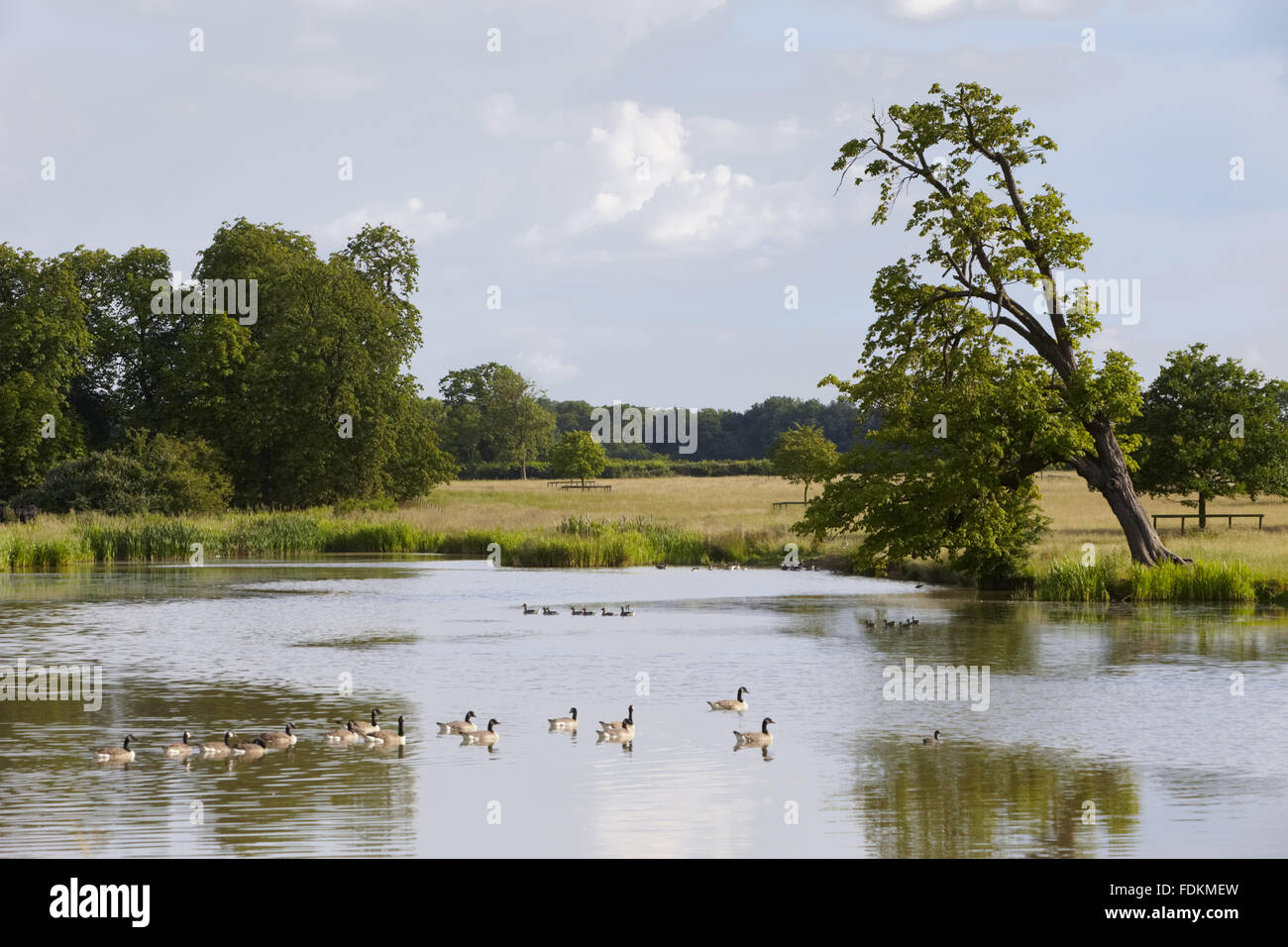 East claydon buckinghamshire hi-res stock photography and images - Alamy