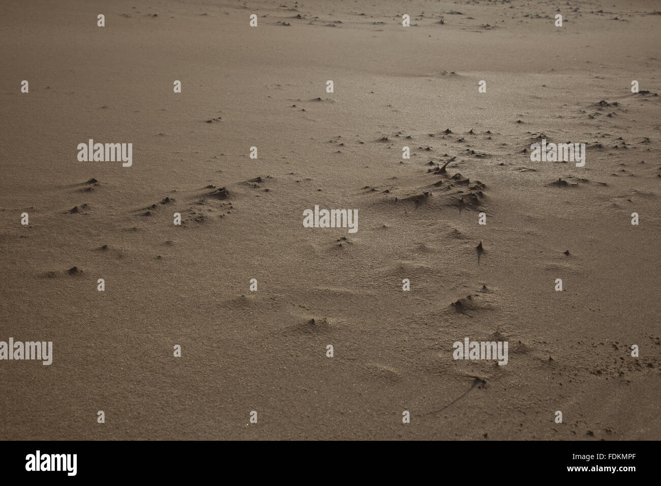 Damp sand on a beach, North Devon Stock Photo - Alamy