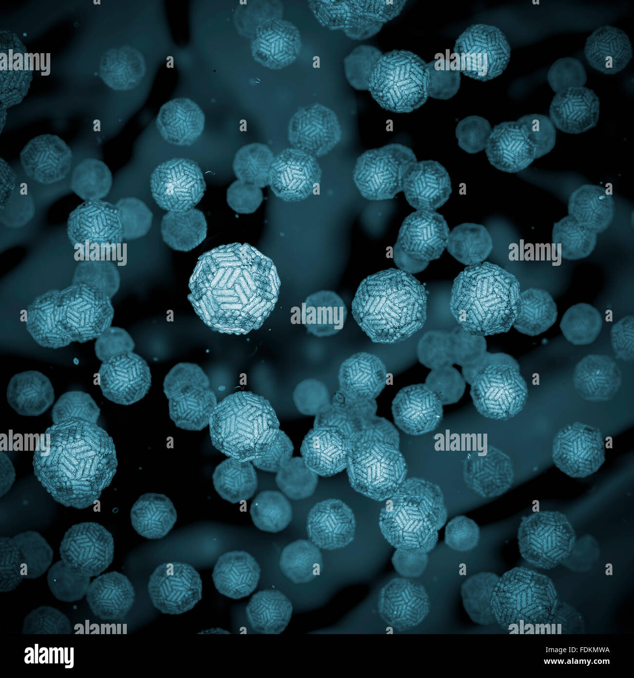 Viral surface hi-res stock photography and images - Alamy
