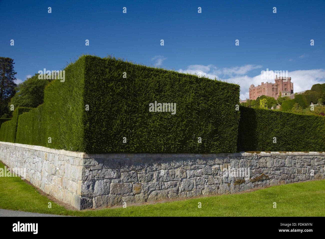 Geometric topiary hedge surrounding the Fountain Garden at Powis Castle ...