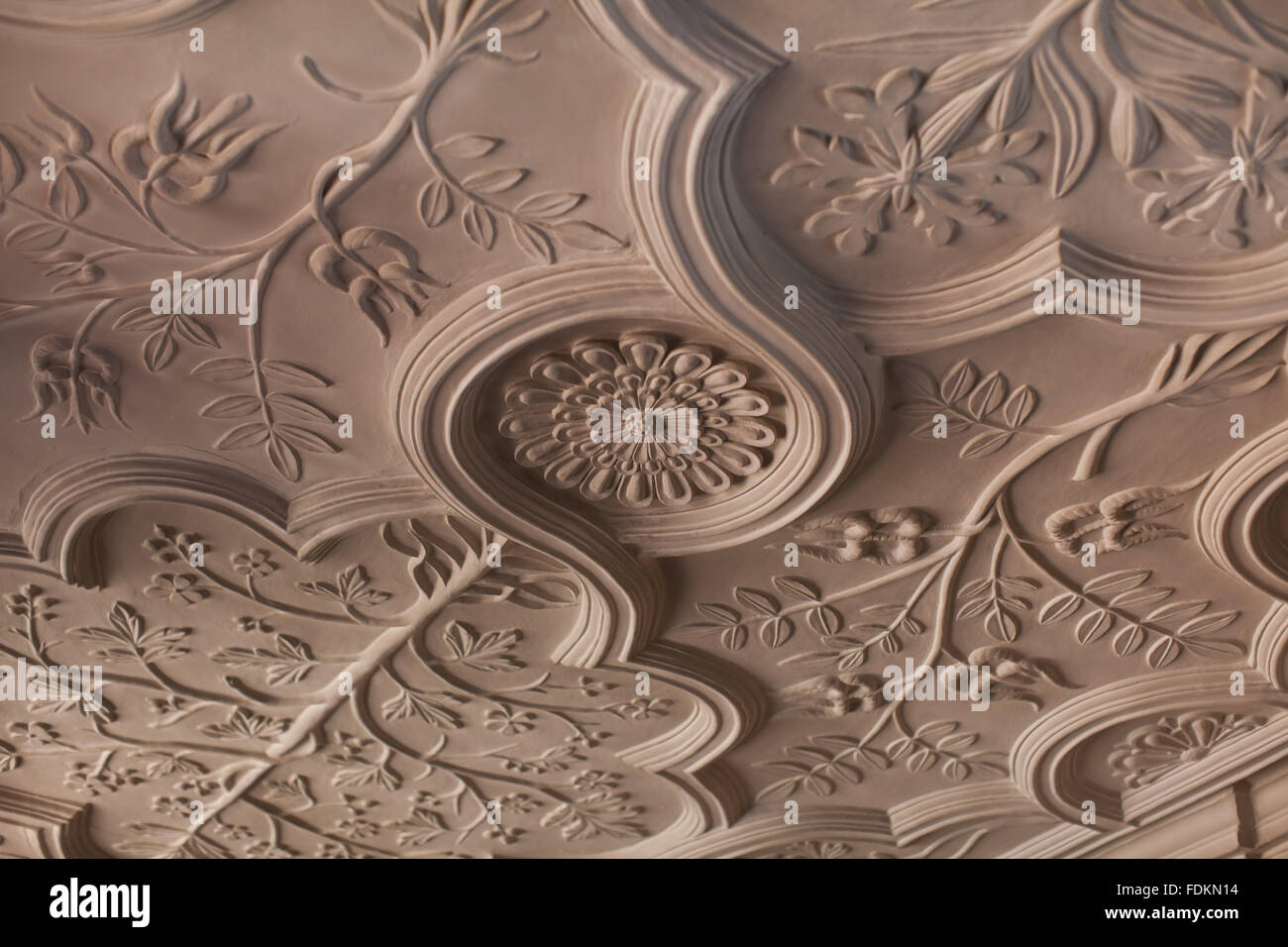Sixteenth-century plasterwork ceiling in the Long Gallery at Powis ...