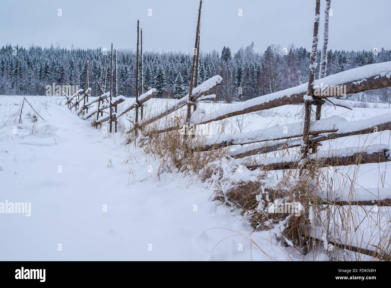 Finnish countryside hi-res stock photography and images - Alamy