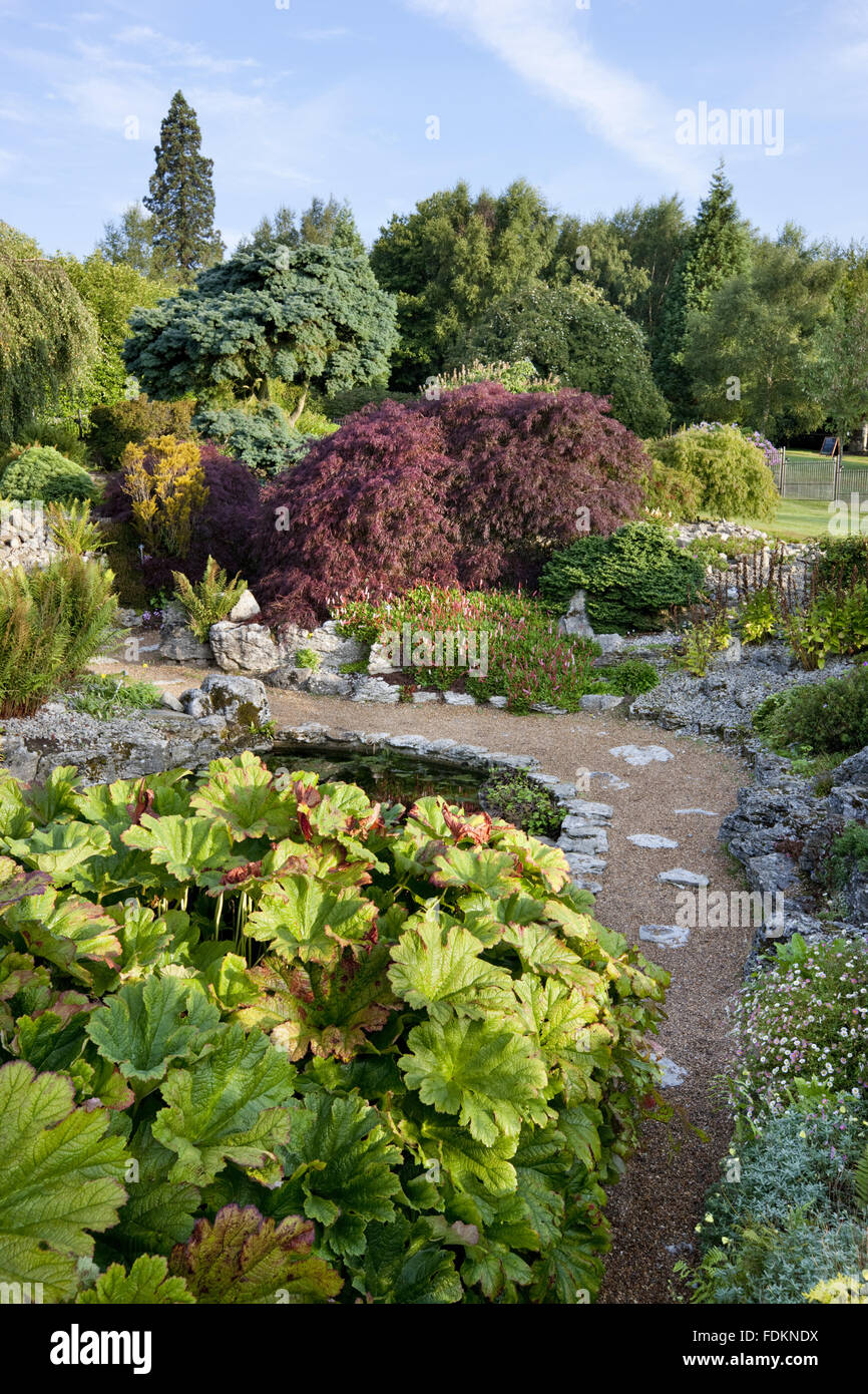 The lily pond in the Rock Garden in August at Emmetts Garden, Kent ...