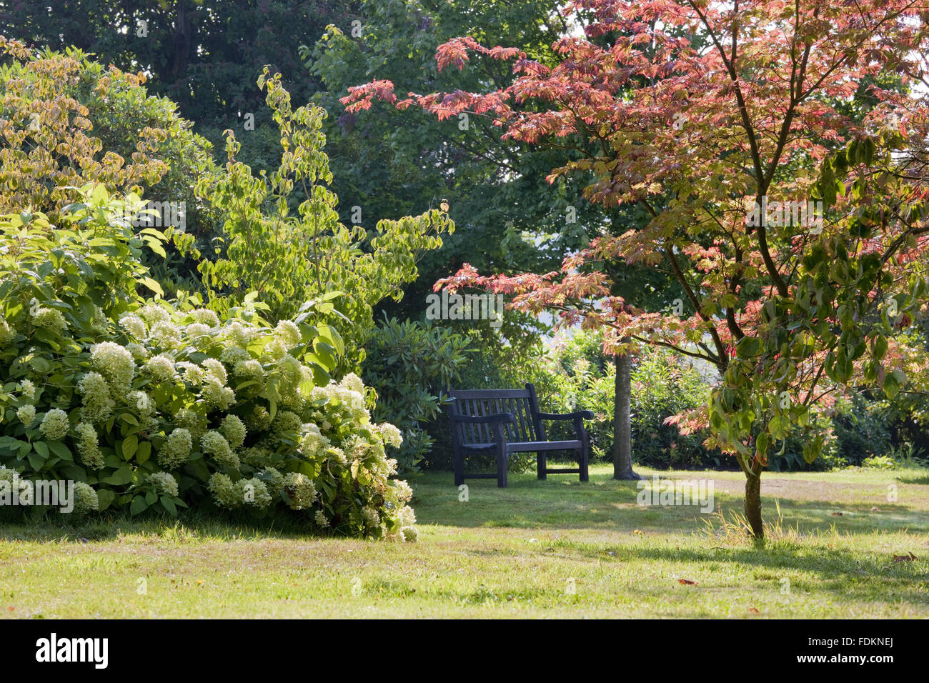 English shrubs hi-res stock photography and images - Alamy