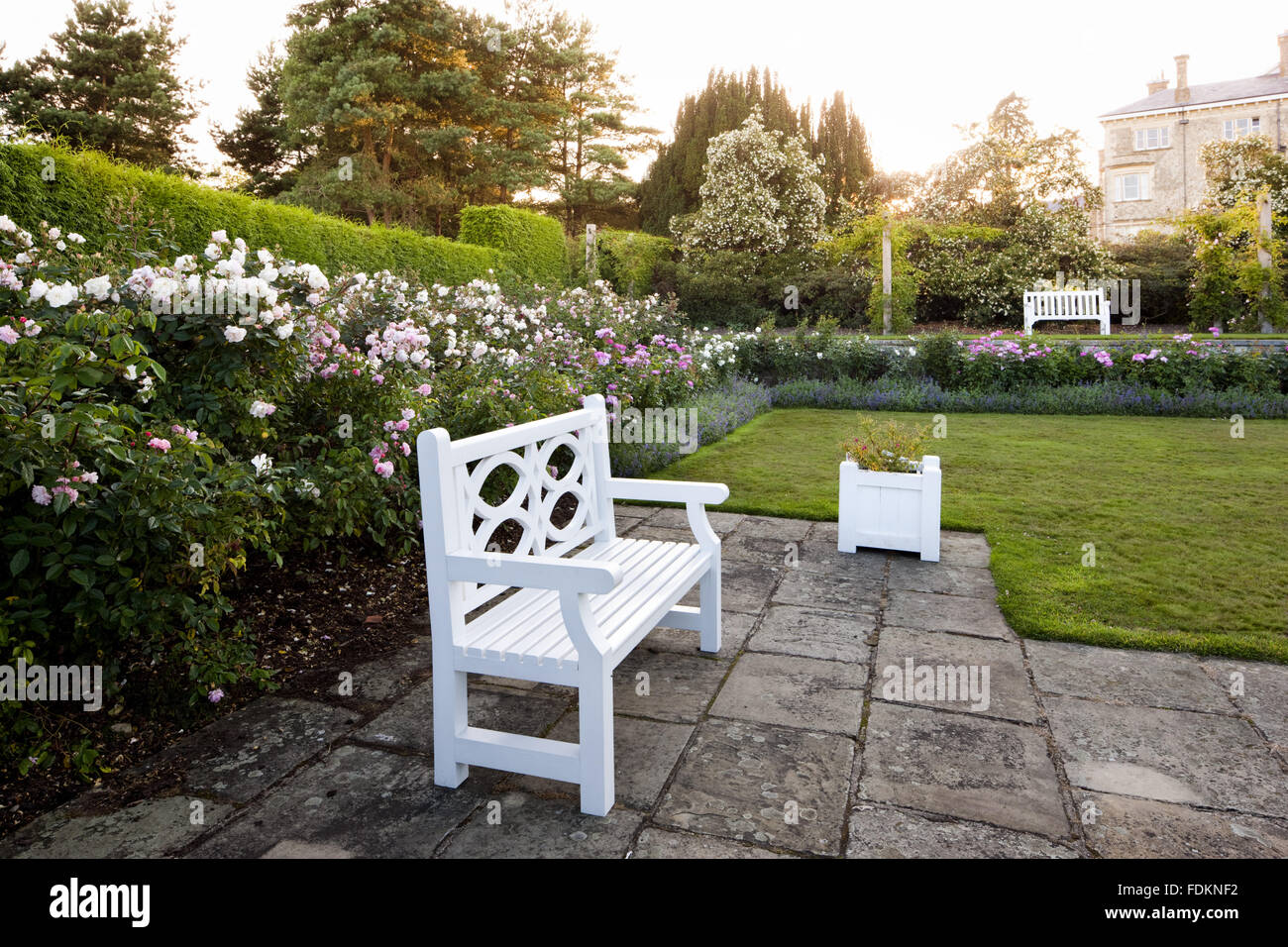 The Rose Garden in August at Emmetts Garden, Kent Stock Photo - Alamy