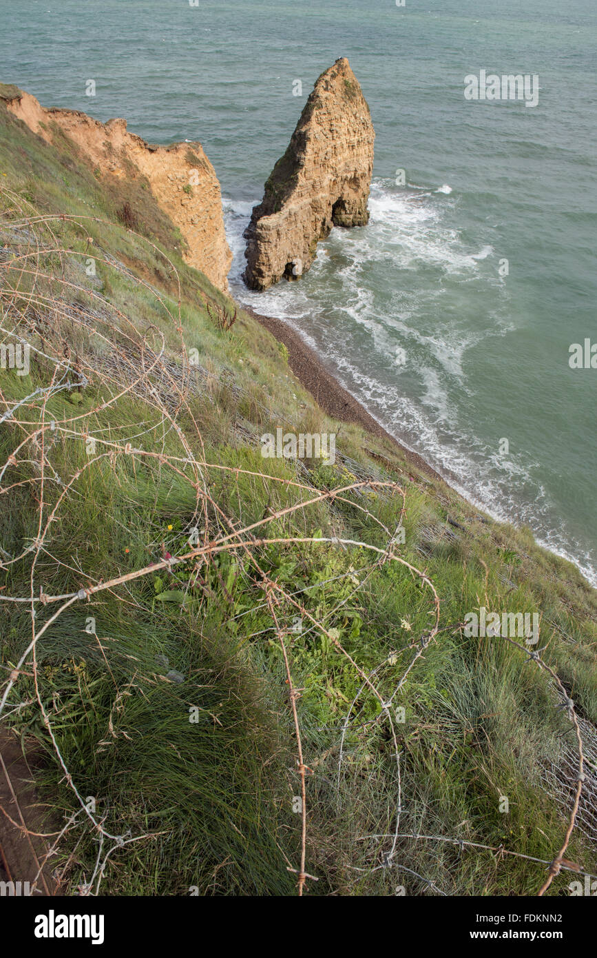 Barbed wire entanglement hi-res stock photography and images - Alamy