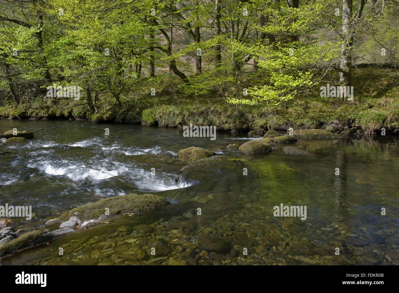 Afon Glaslyn gorge, near Beddgelert, Snowdonia National Park, Wales, in ...