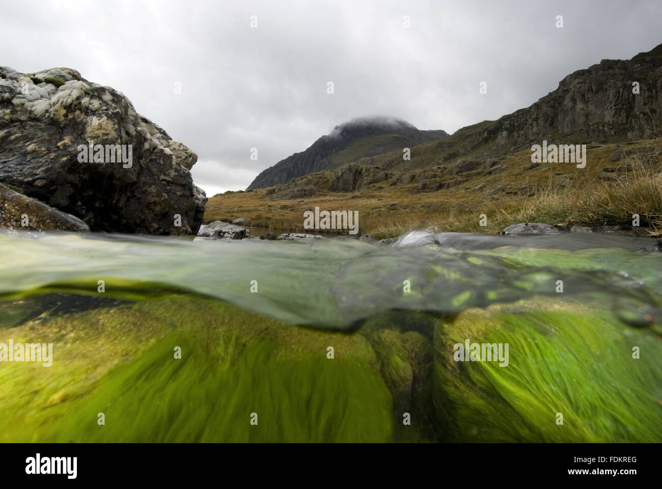 Split-level image of a mountain stream flowing towards Tryfan ...