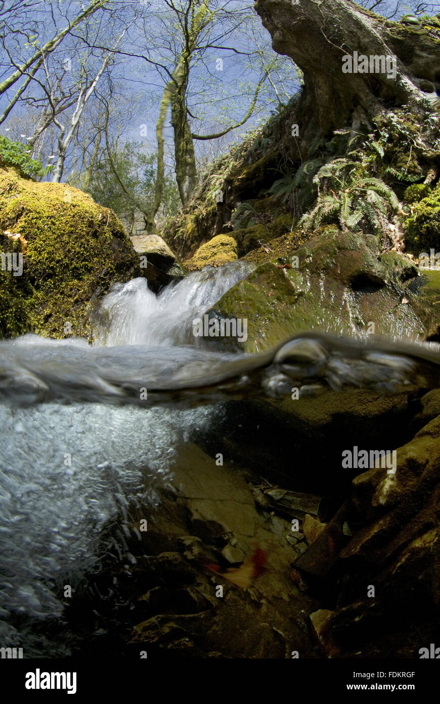 Maentwrog ravine hi-res stock photography and images - Alamy