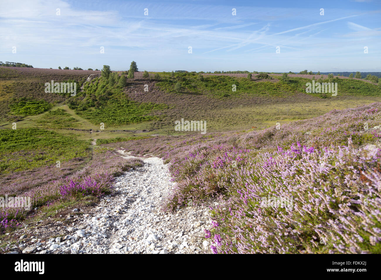 Chibden hi-res stock photography and images - Alamy