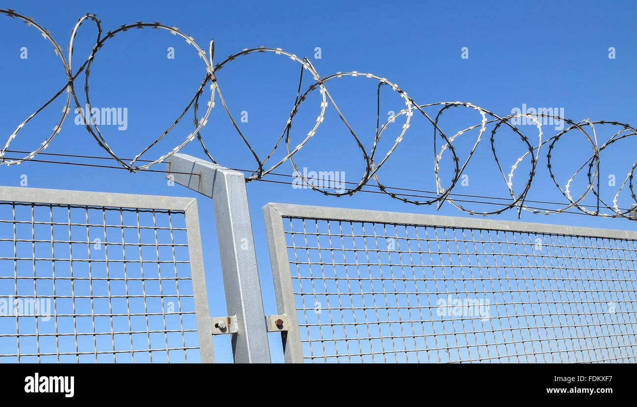 Barbed wire fence Stock Photo - Alamy