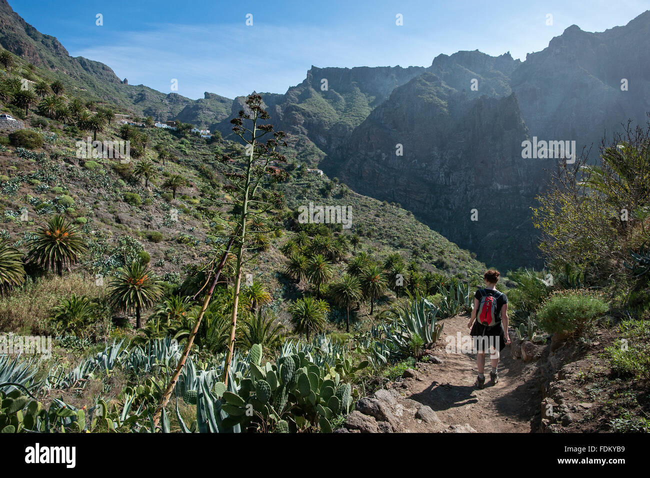 Hiking in Masca Gorge Stock Photo - Alamy