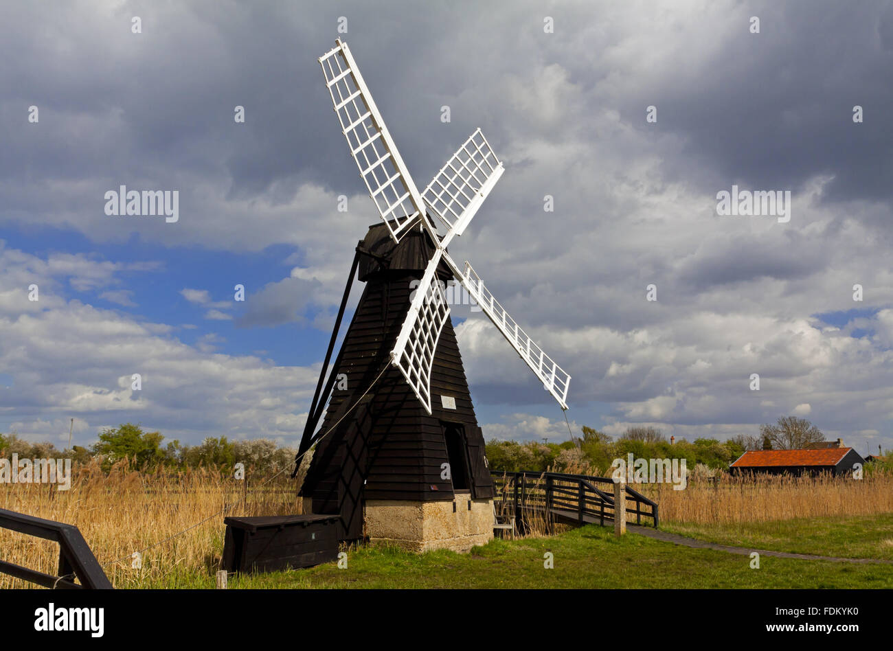 Sedge and fens hi-res stock photography and images - Alamy