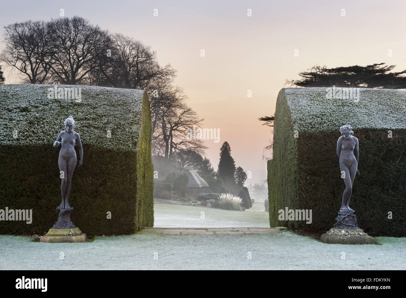 Nymph statues and yew hedging in winter with a view to the hawk-house ...