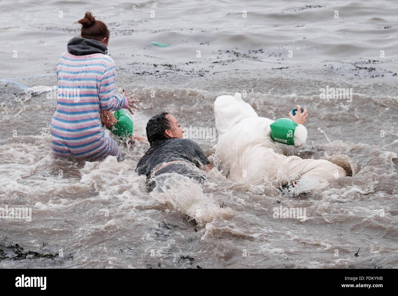 Hundreds of Loony Dookers take part in the traditional New Year's Day ...