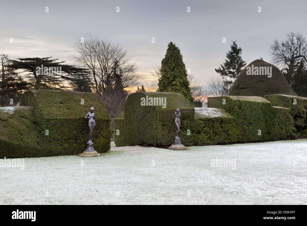 Yew hedges and nymph statues in the garden in winter at Chirk Castle ...