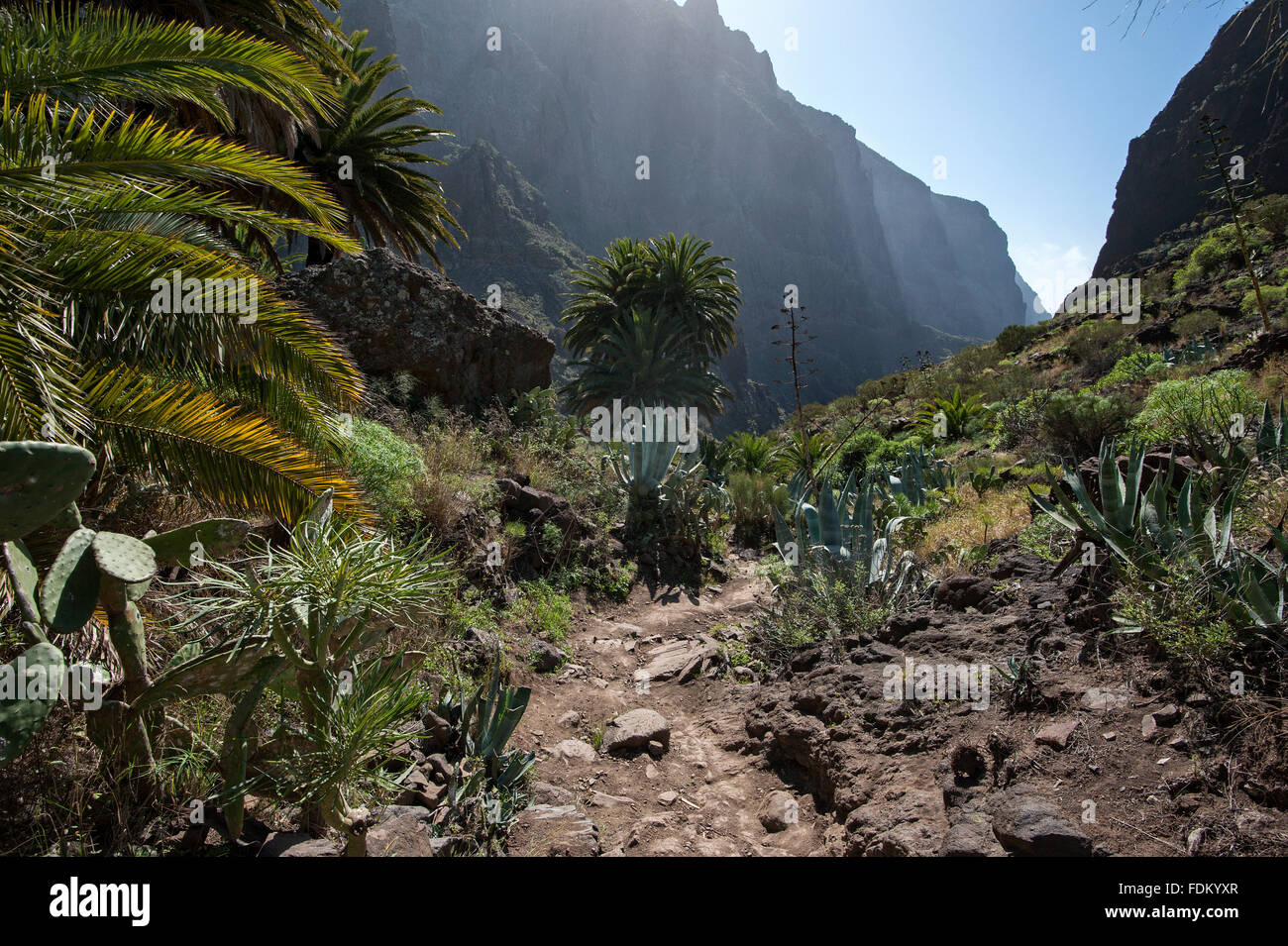Hiking in Masca Gorge Stock Photo - Alamy
