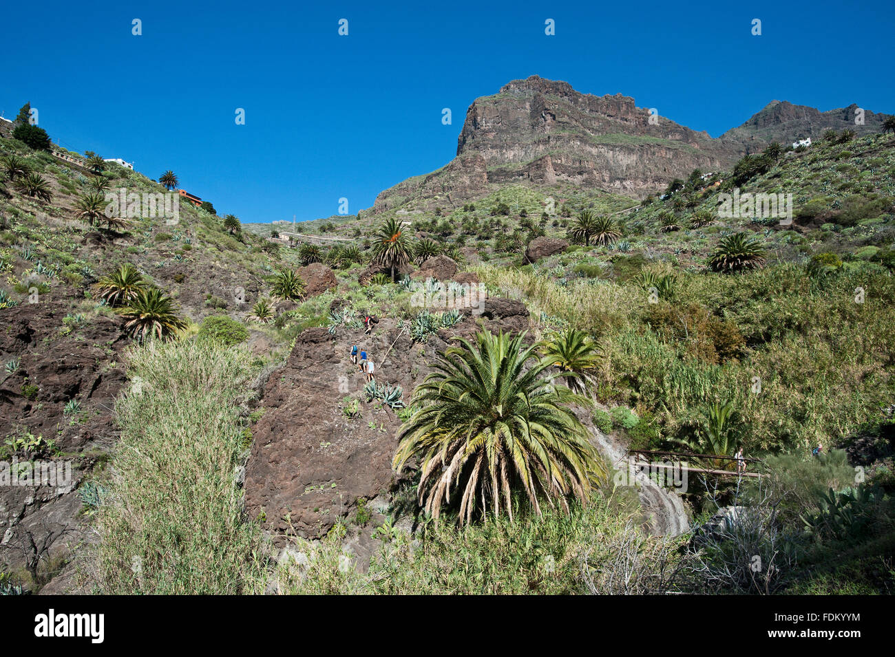 Hiking in Masca Gorge Stock Photo - Alamy