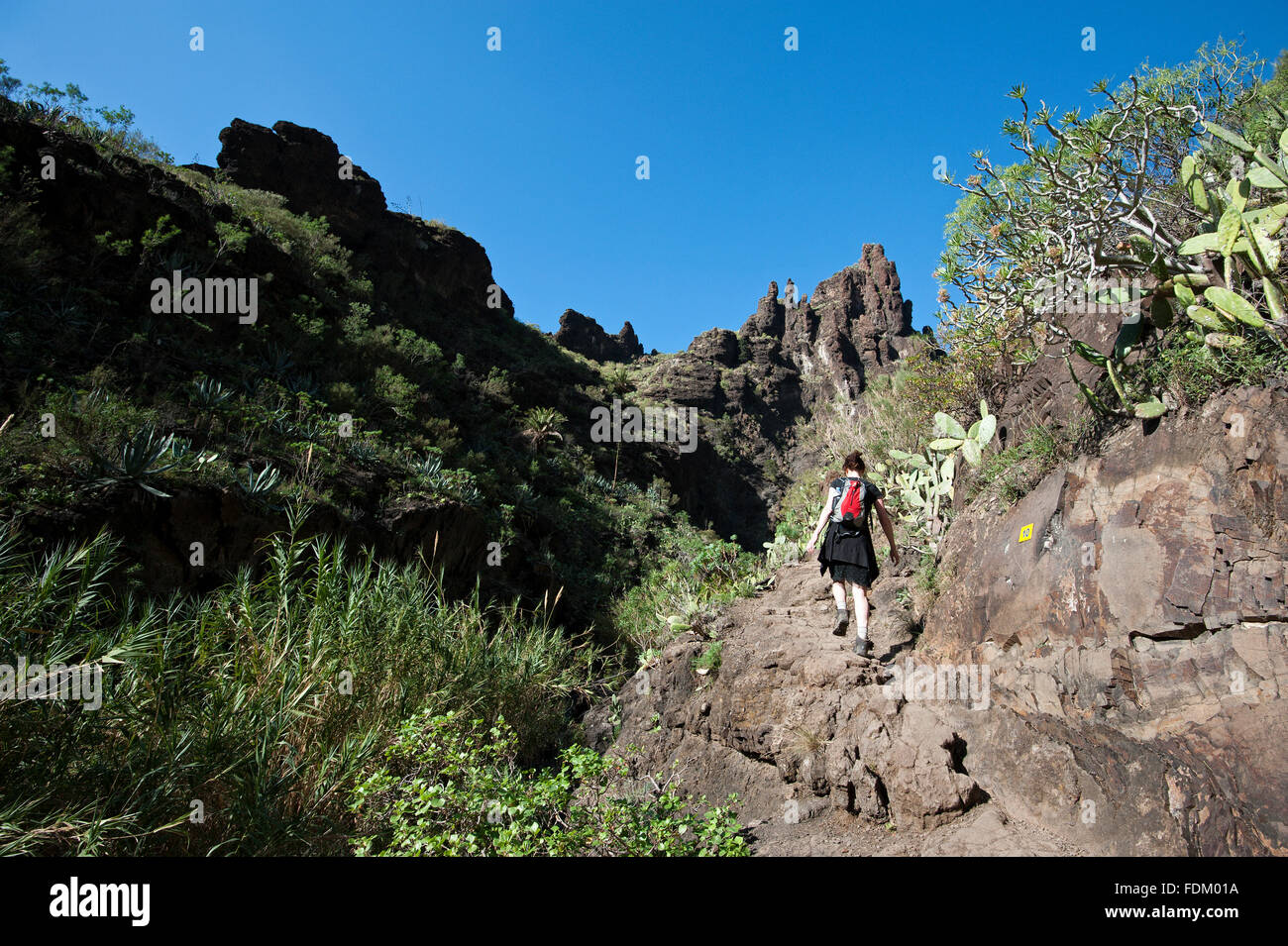 Hiking in Masca Gorge Stock Photo - Alamy