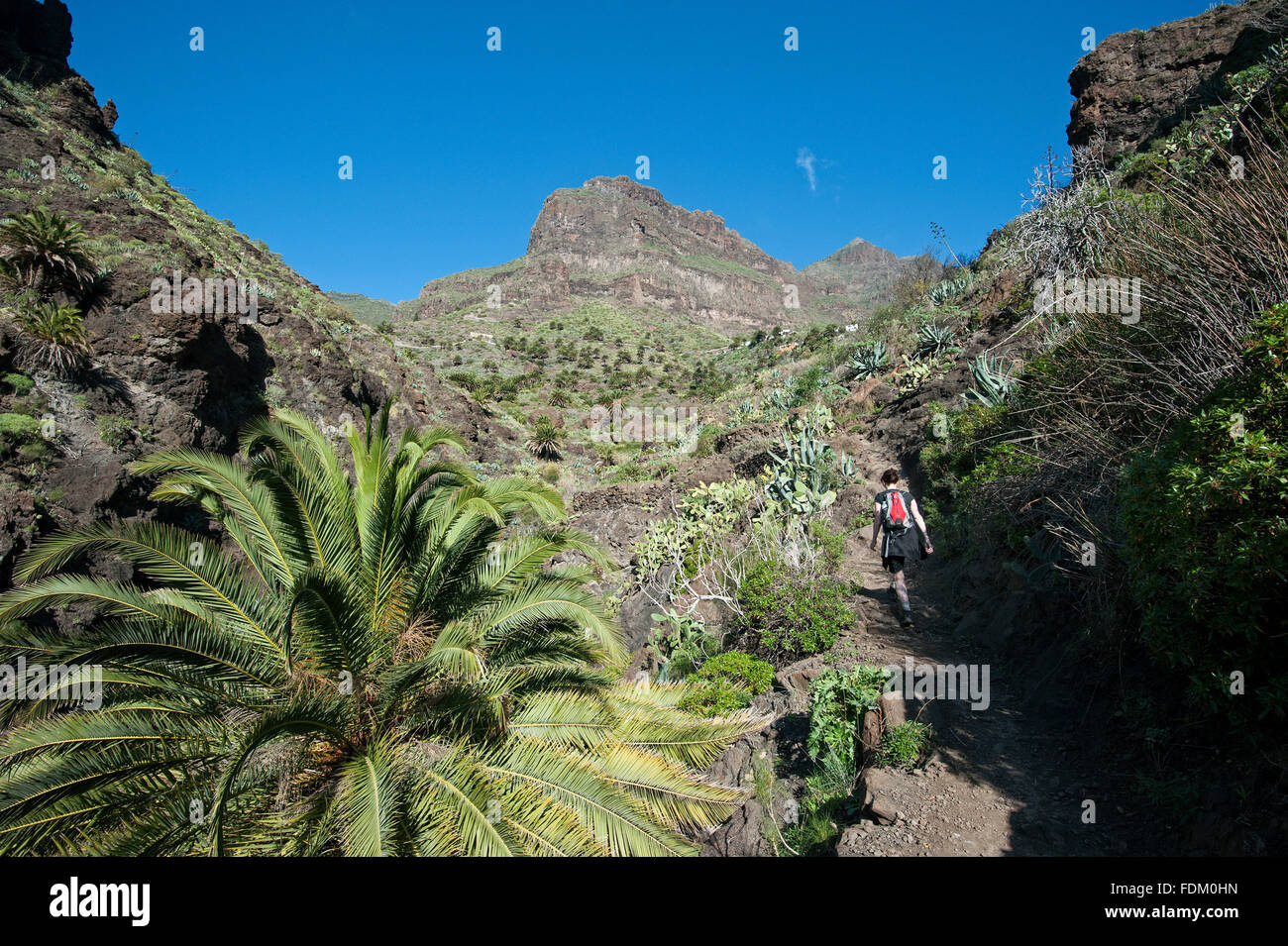 Hiking in Masca Gorge Stock Photo - Alamy