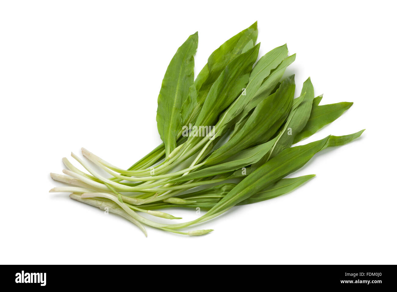 Fresh Ramson leaves on white background Stock Photo - Alamy