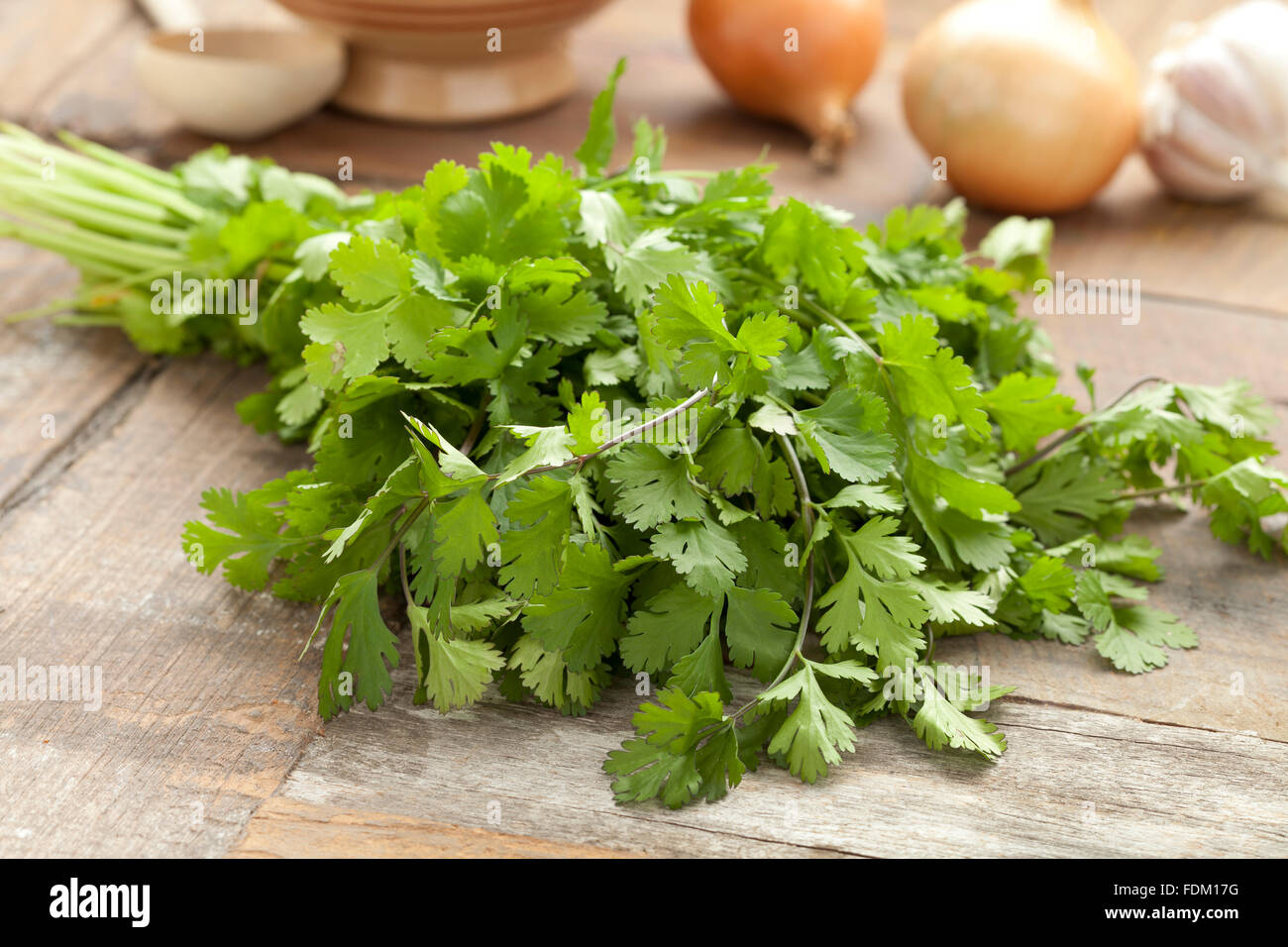 Fresh coriander on the table Stock Photo - Alamy