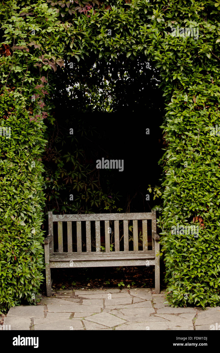 Wooden bench in a hedge niche at Tintinhull Garden, Somerset Stock ...