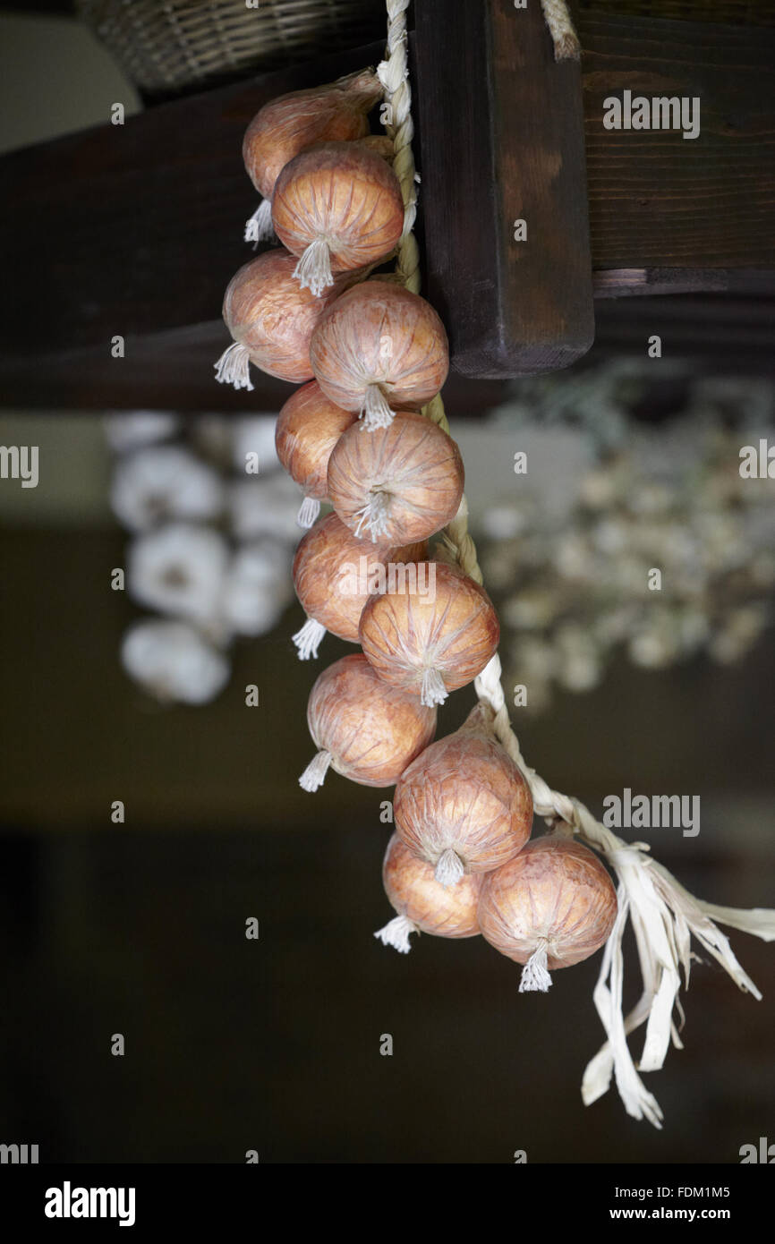 A string of onions at Moseley Old Hall, Staffordshire Stock Photo - Alamy