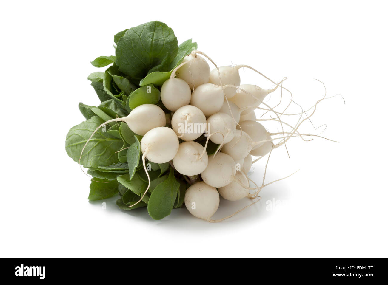 Bunch of fresh white Radish on white background Stock Photo - Alamy