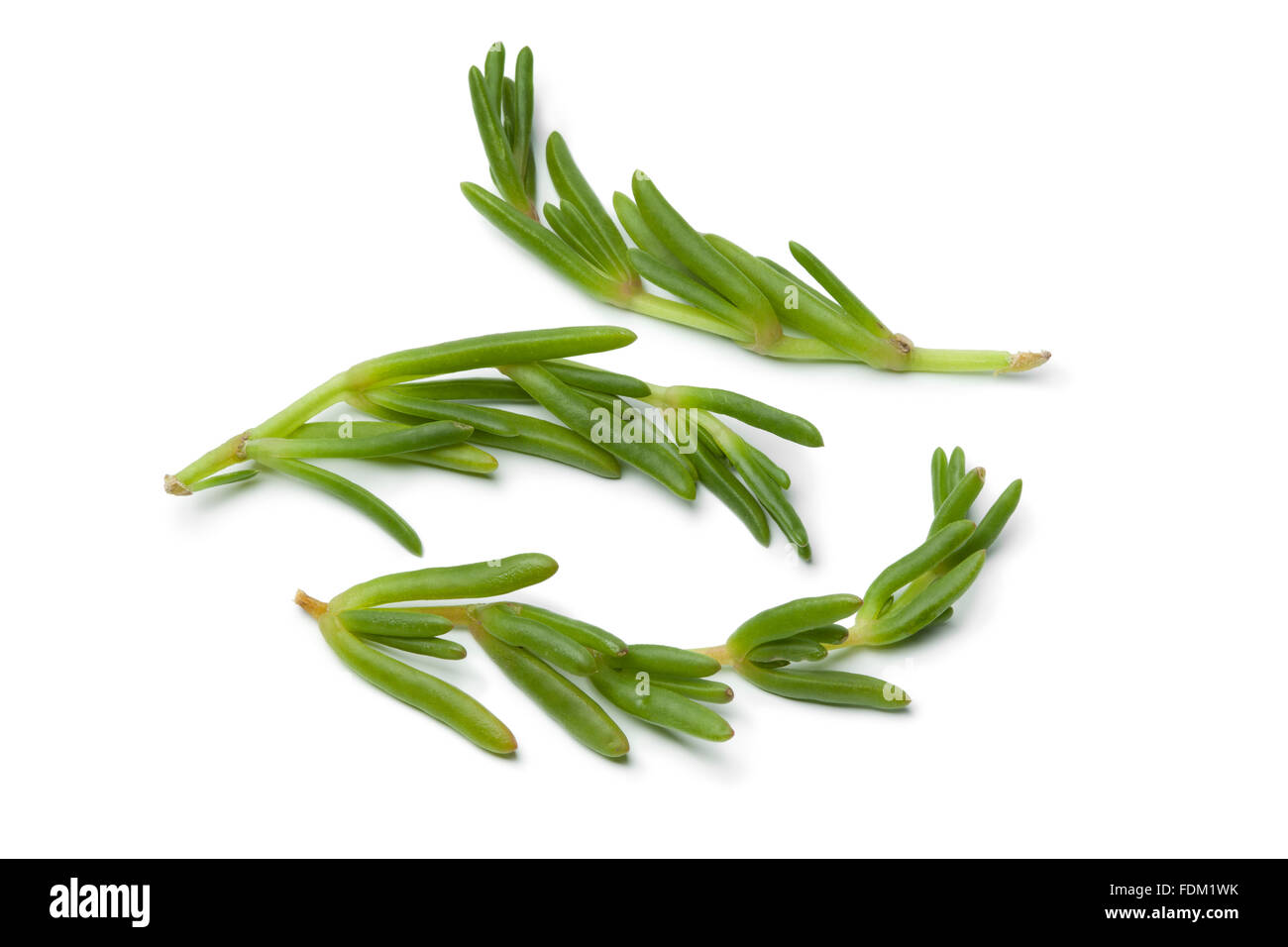 Aboriginal food hi-res stock photography and images - Alamy