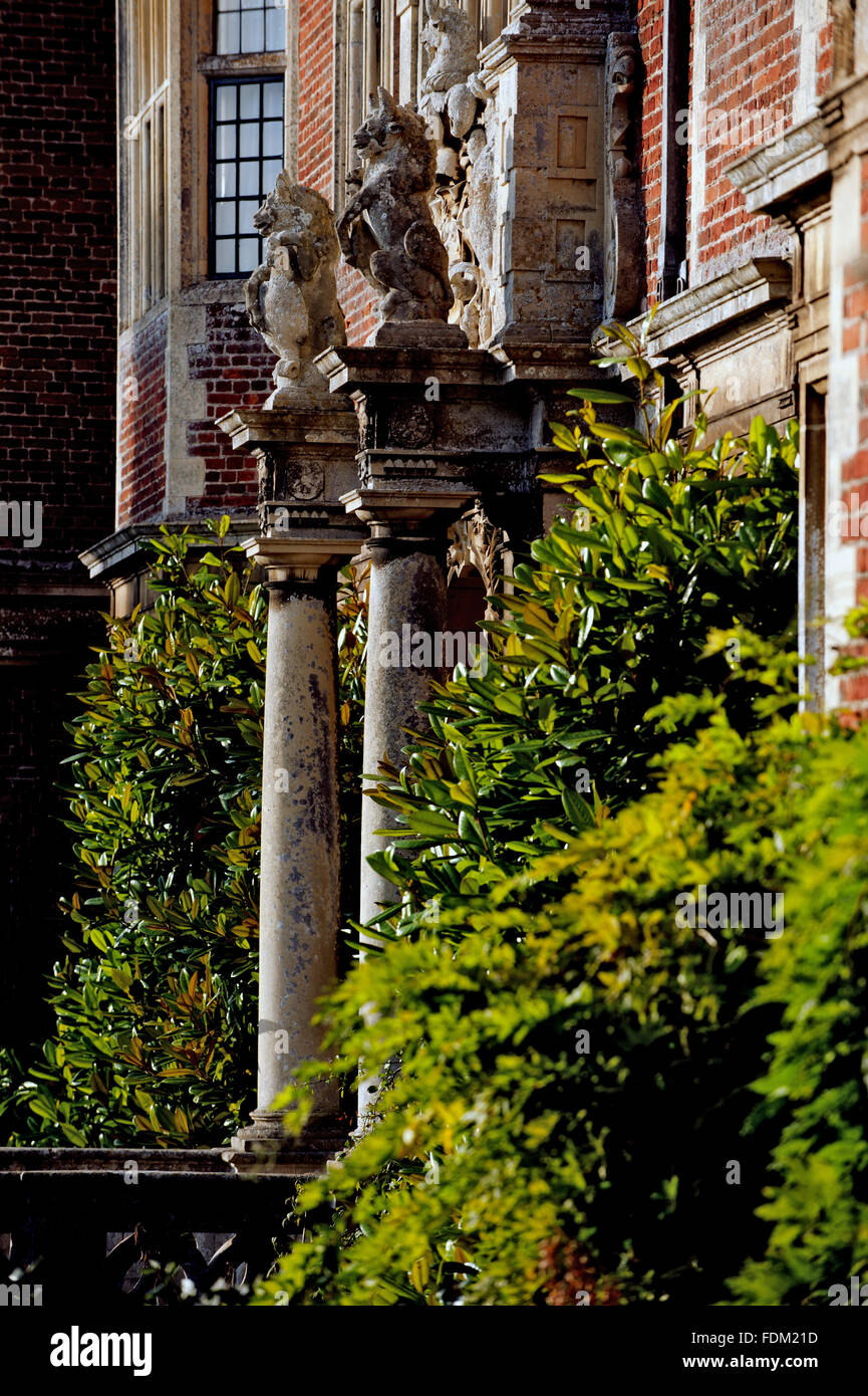 Oblique front view hi-res stock photography and images - Alamy