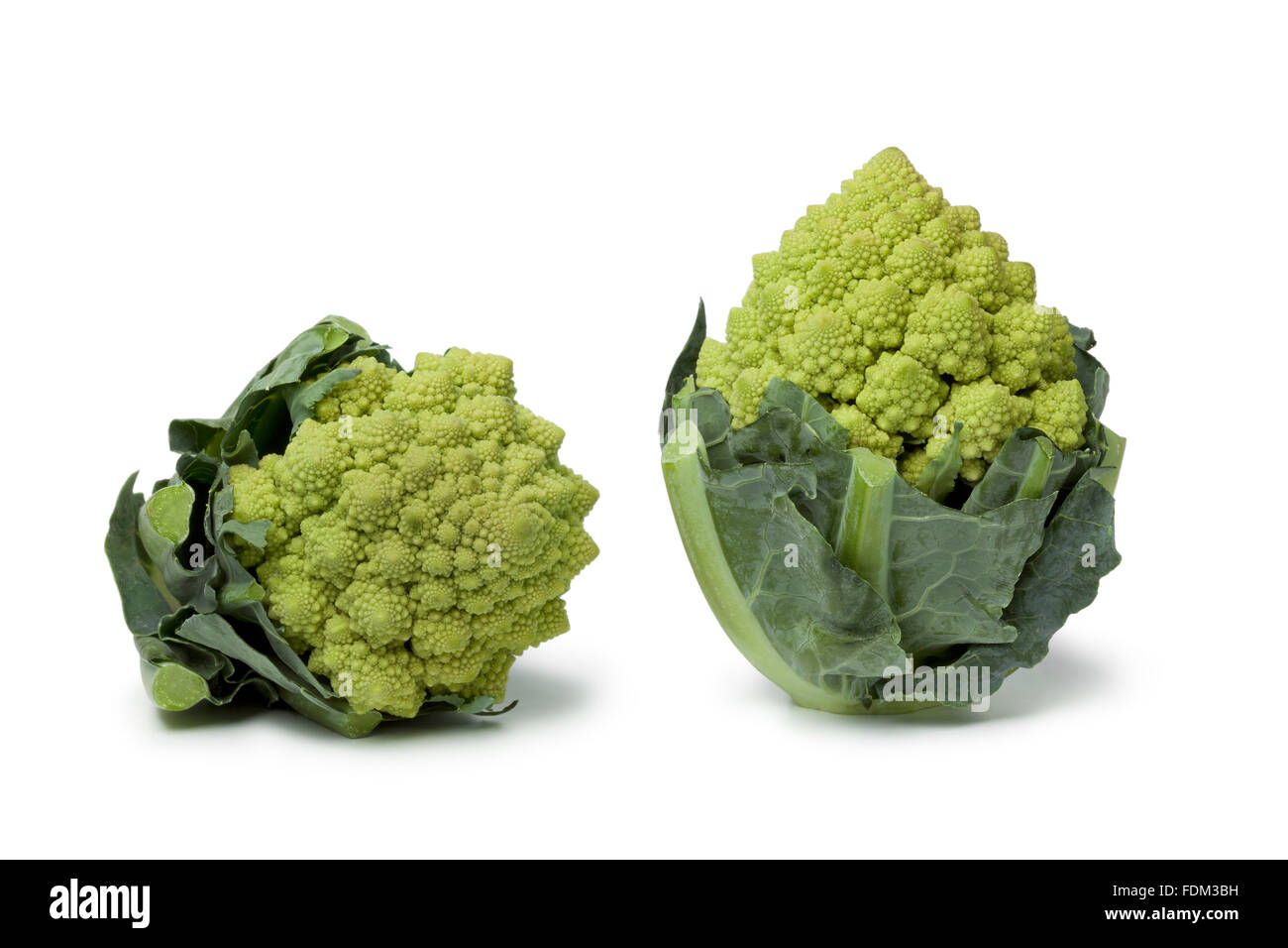 Two fresh mini Romanesco cabbages on white background Stock Photo - Alamy