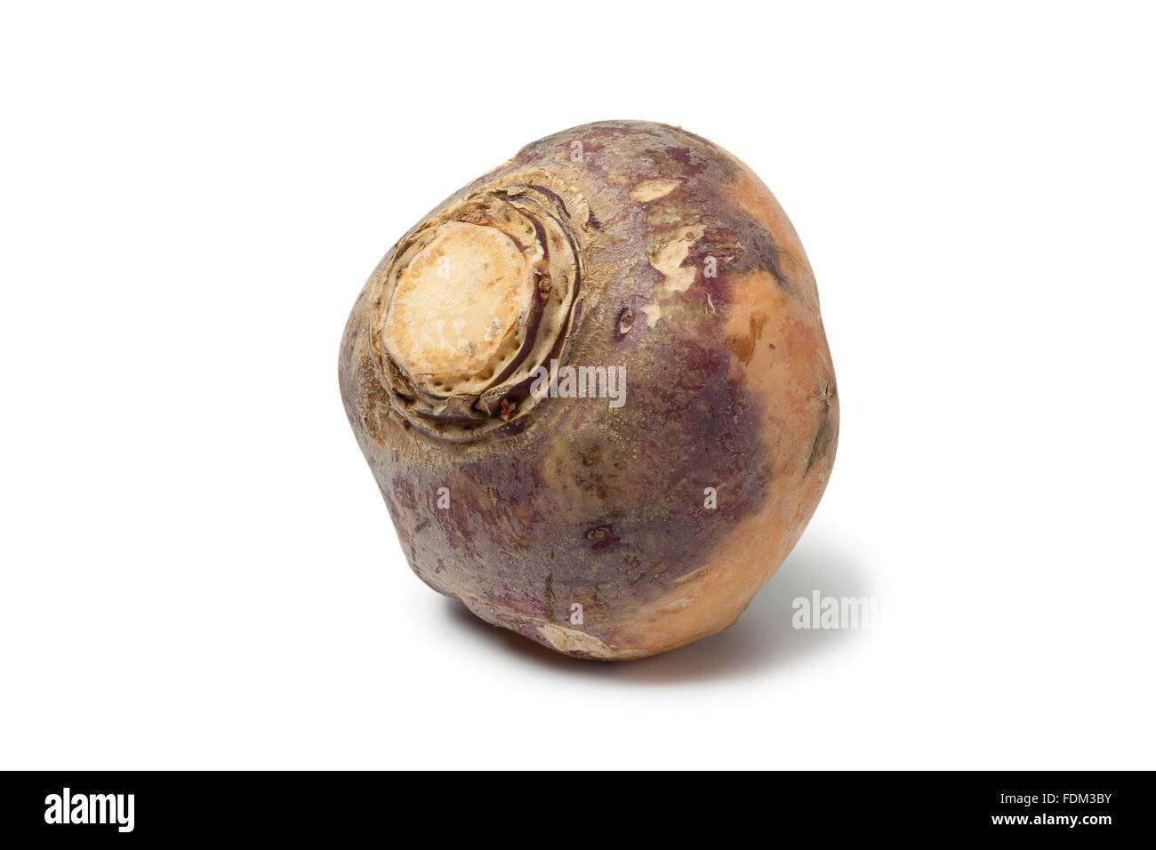 Fresh whole Swede on white background Stock Photo - Alamy