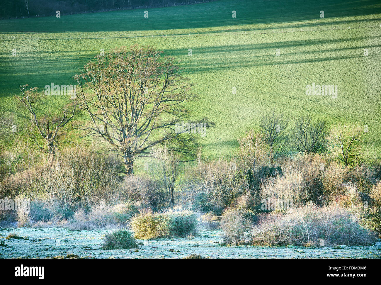 Downland hi-res stock photography and images - Alamy