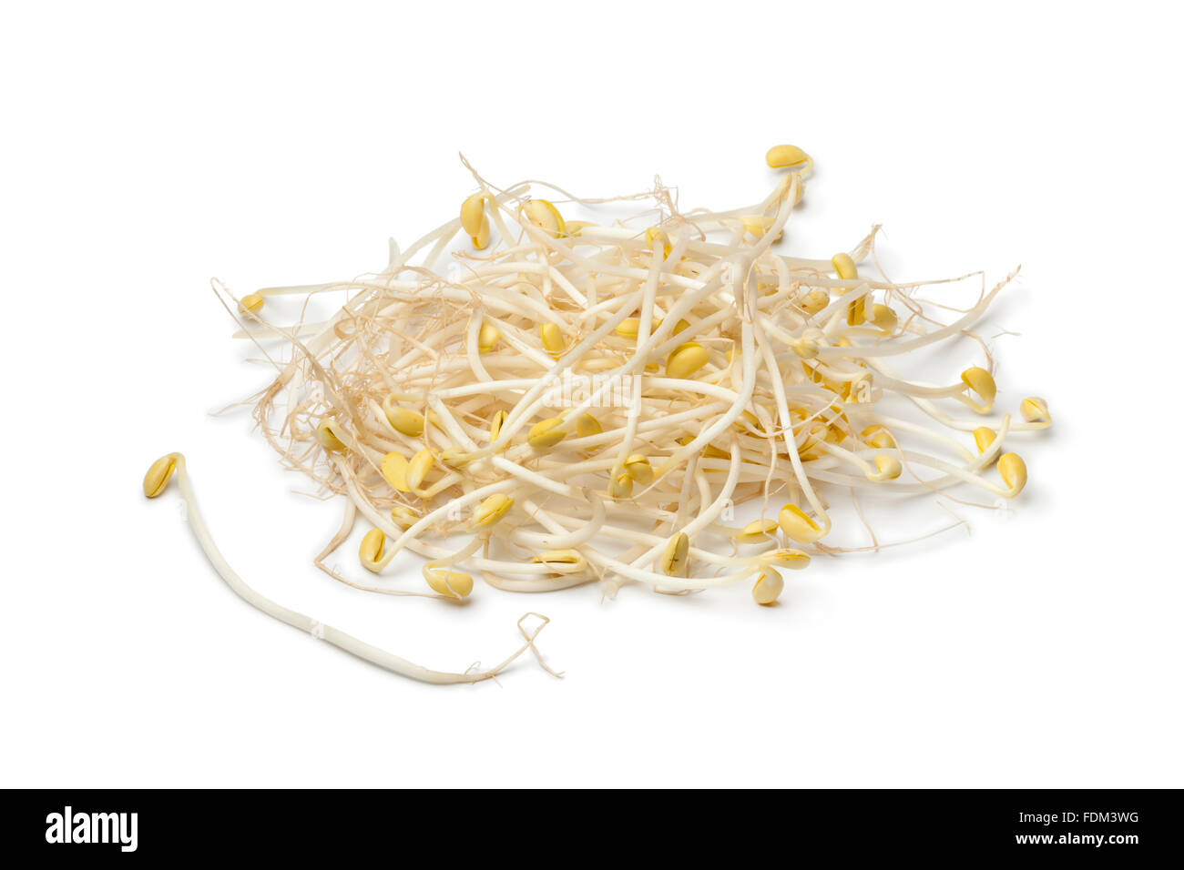 Fresh beansprouts on white background Stock Photo - Alamy