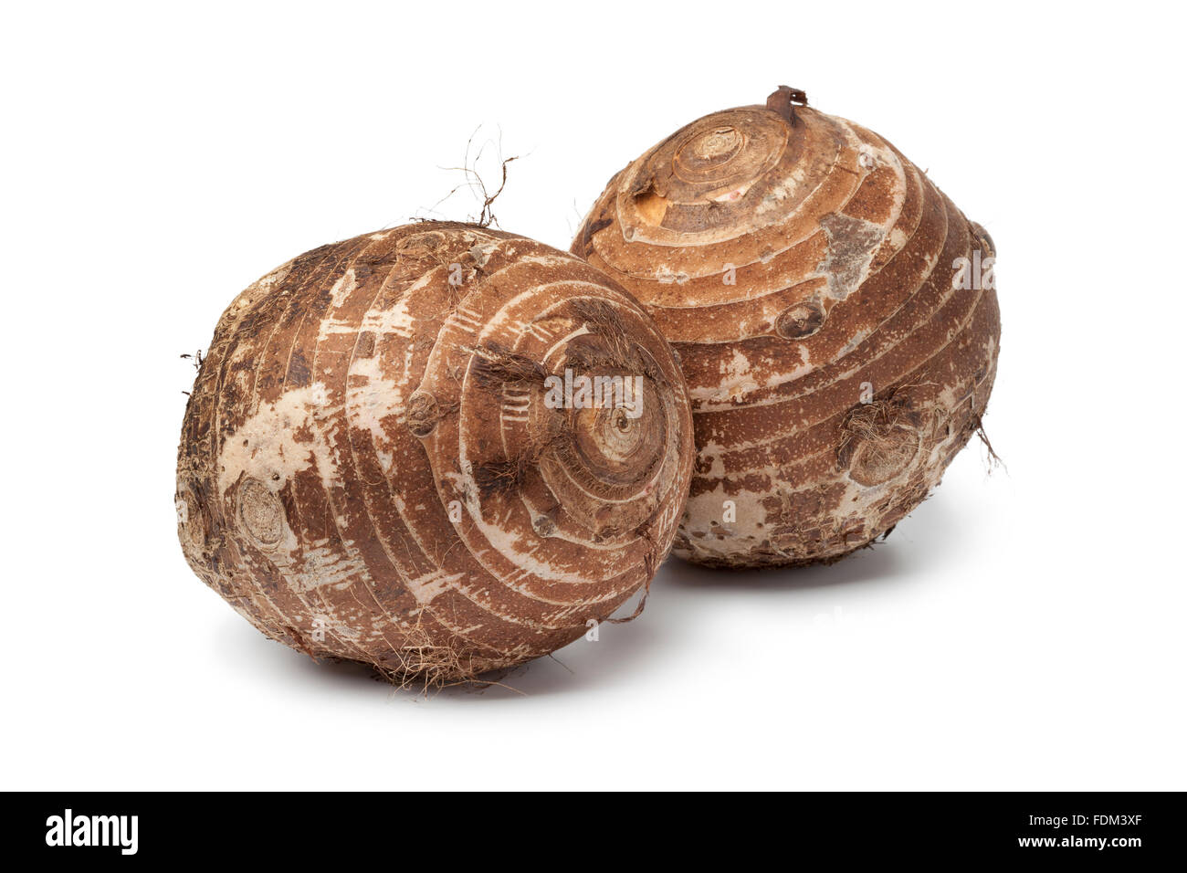 Fresh Chinese taro roots on white background Stock Photo - Alamy