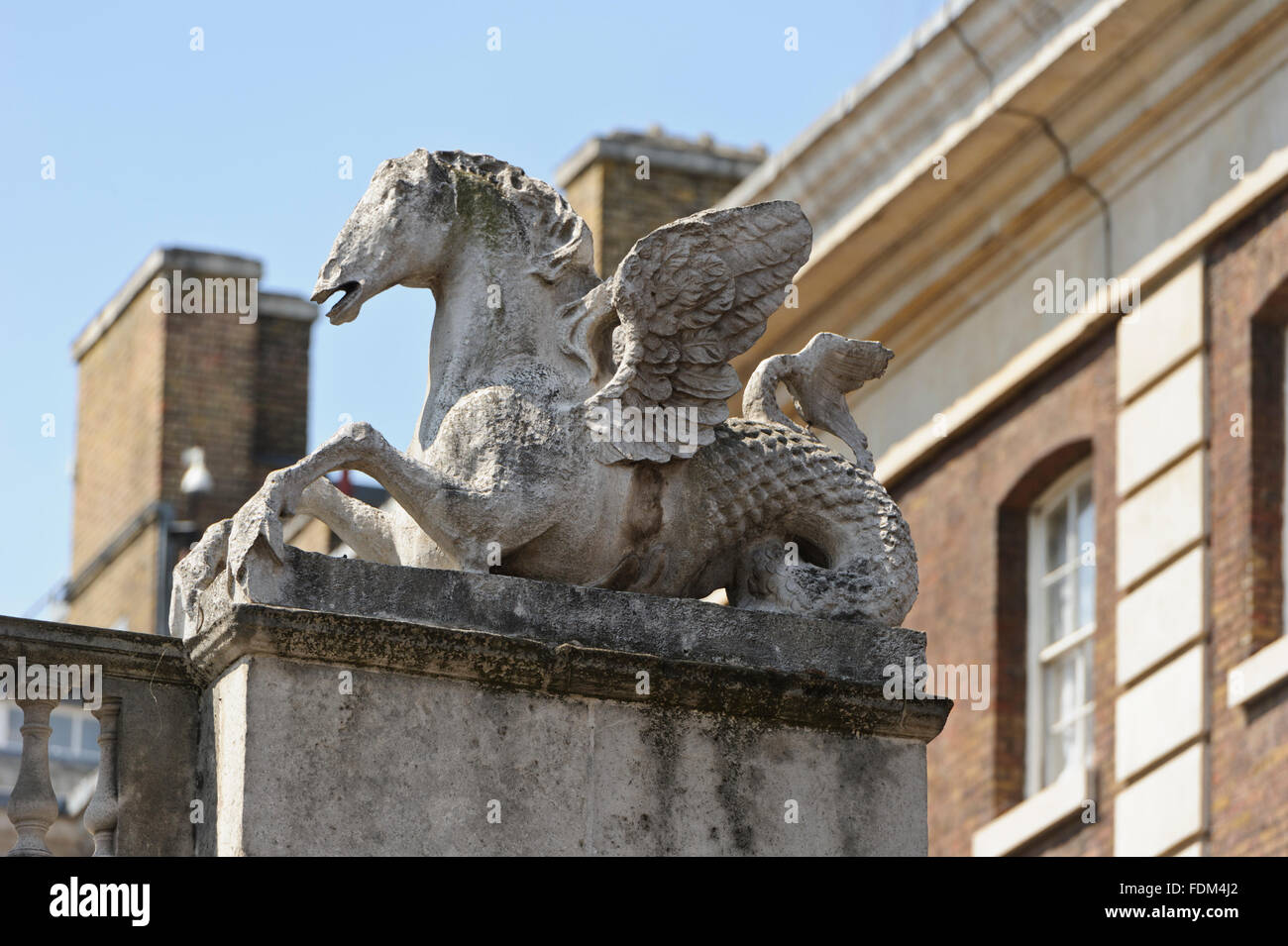 Wing horse fish hi-res stock photography and images - Alamy