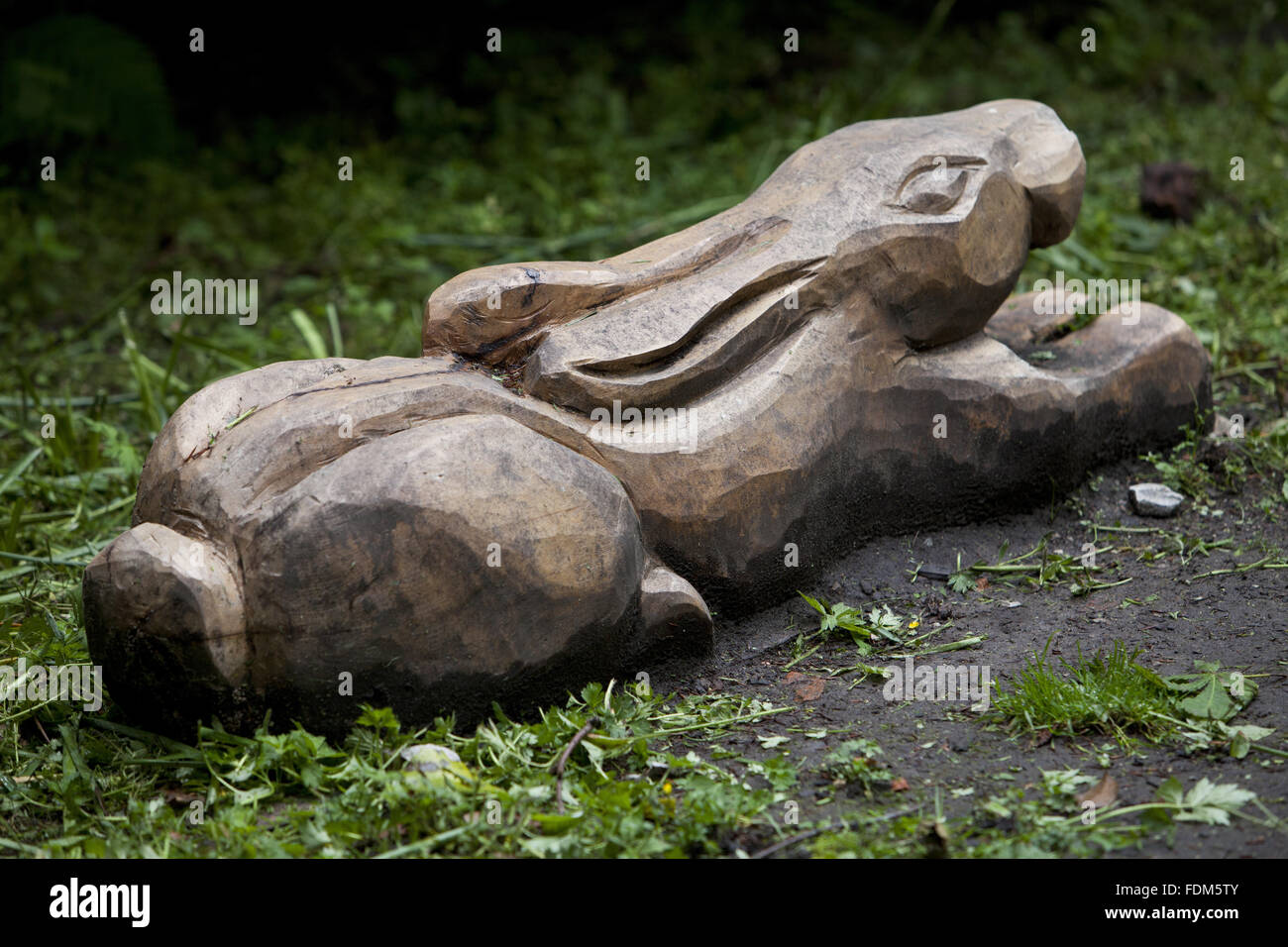 3d hare hi-res stock photography and images - Alamy