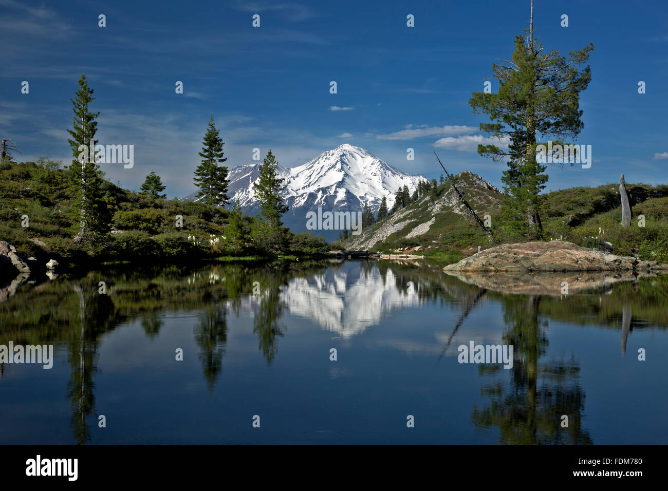 CA02658-00...CALIFORNIA - Mount Shasta and Little Shastina reflecting ...