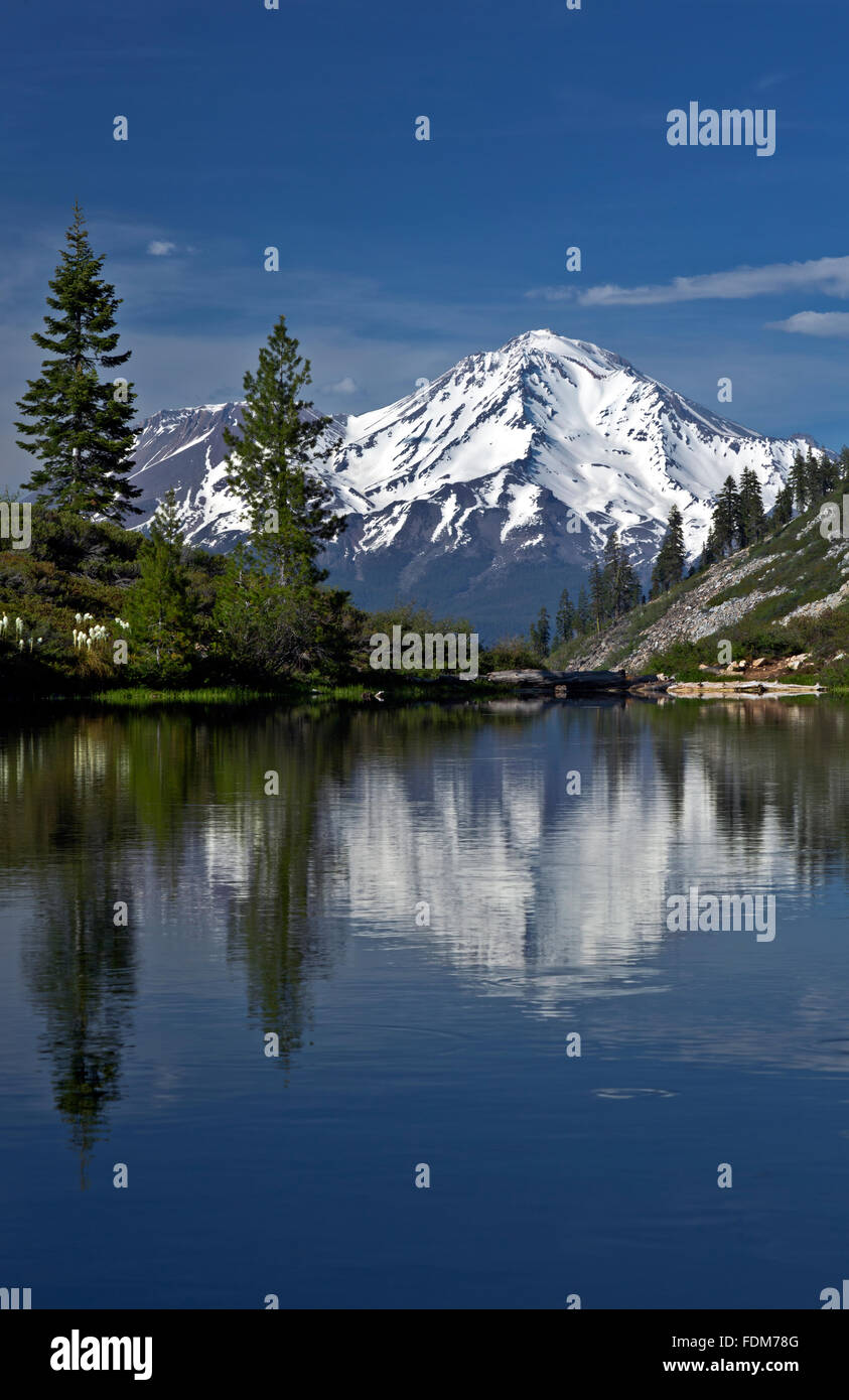 CA02660-00...CALIFORNIA - Mount Shasta and Little Shastina reflecting ...
