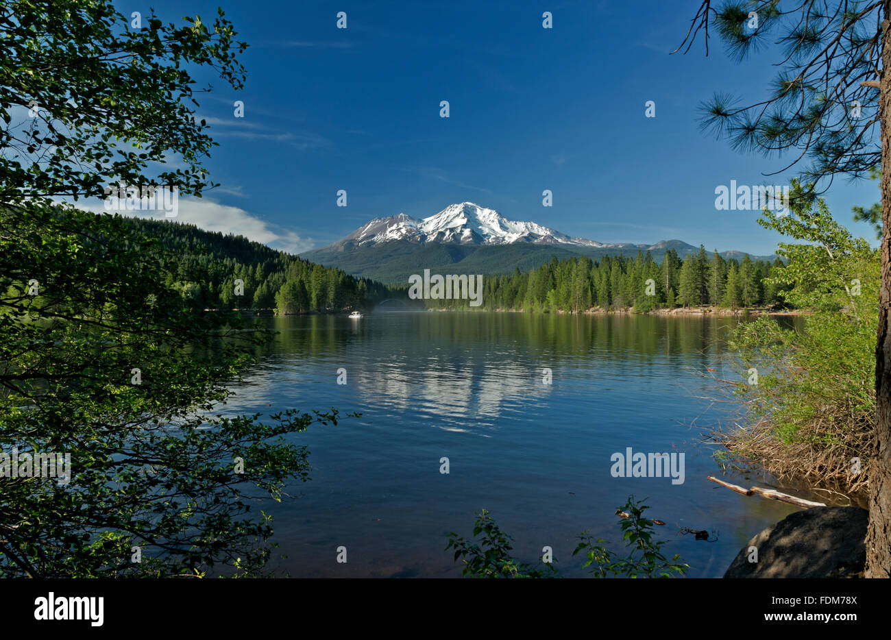 CA02663-00...CALIFORNIA - Mount Shasta and Little Shastina from Lake ...