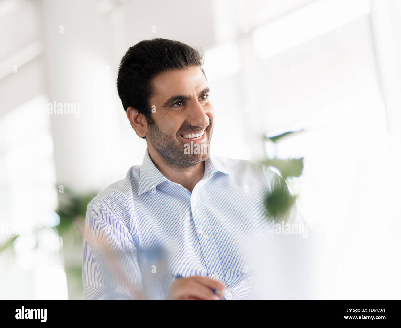 Young happy professional in office Stock Photo - Alamy