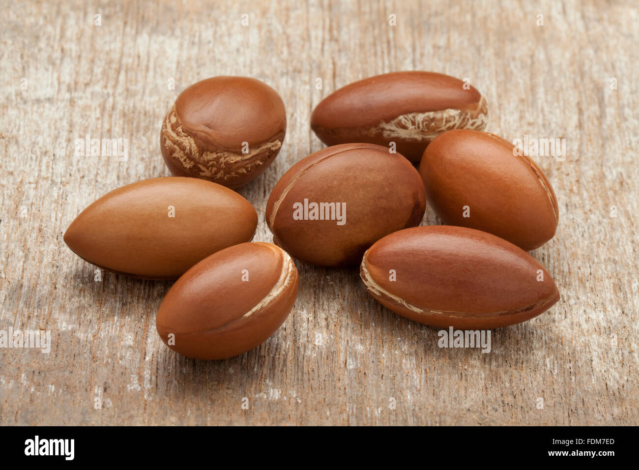 Moroccan Argan nuts Stock Photo - Alamy