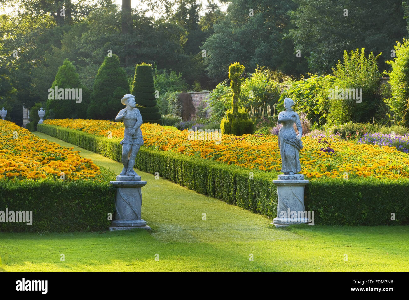 Topiary, statues and box-edged beds planted with Rudbeckia in the Long ...