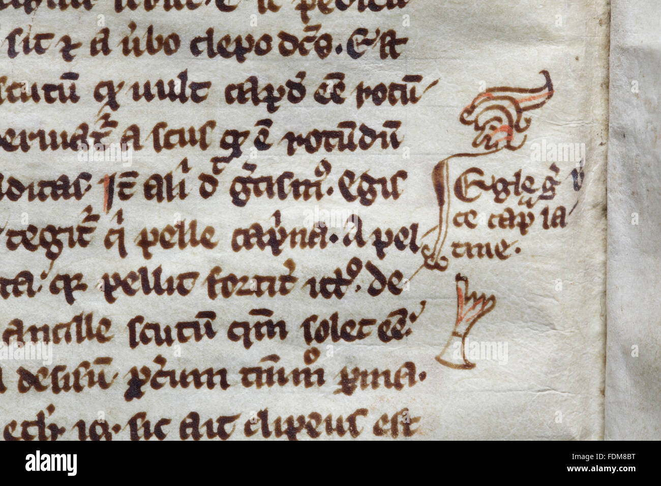 Medieval manuscript page england hi-res stock photography and images ...