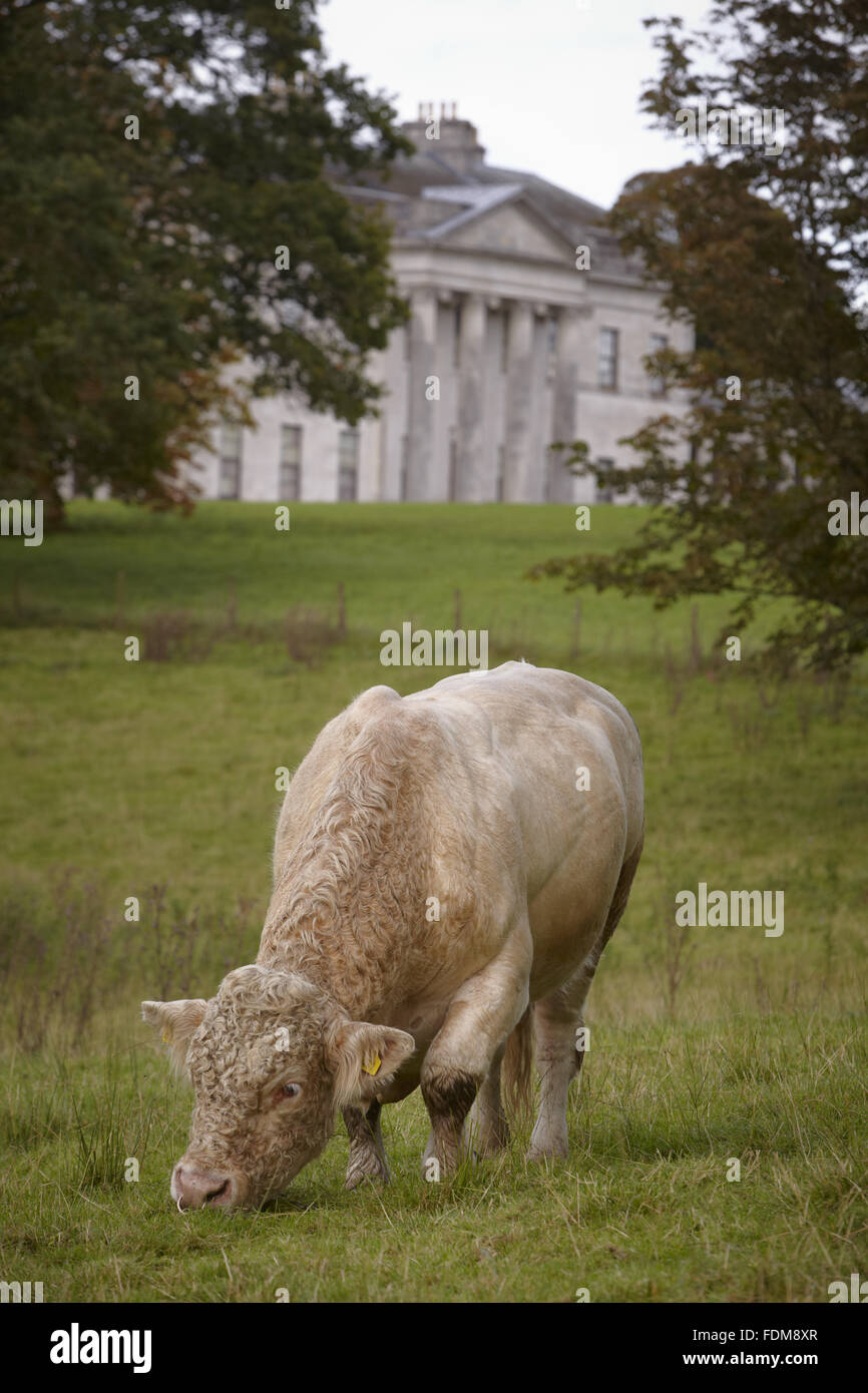 Bull castle hi-res stock photography and images - Alamy