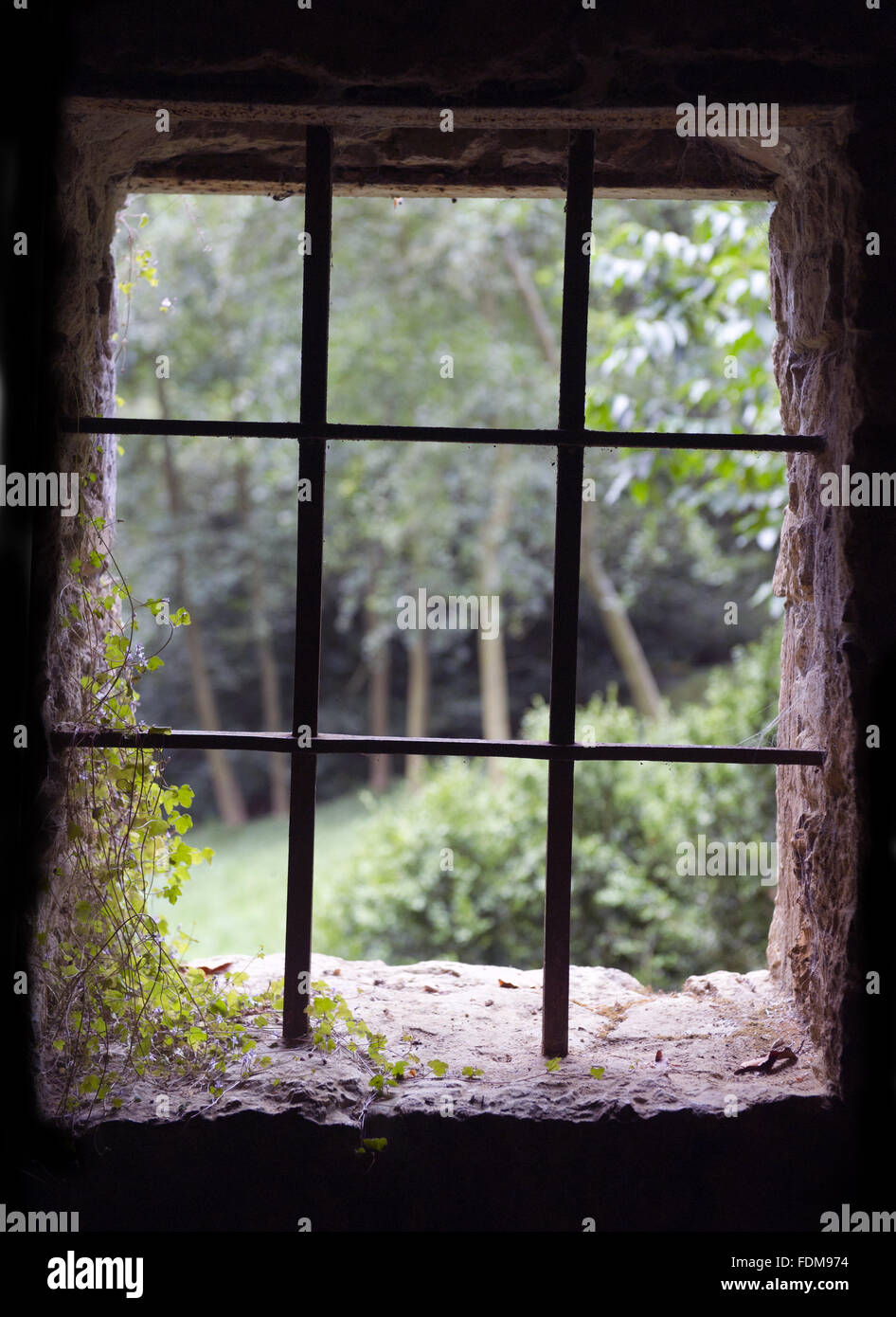 View through the window of the Grotto at Stowe Landscape Gardens ...