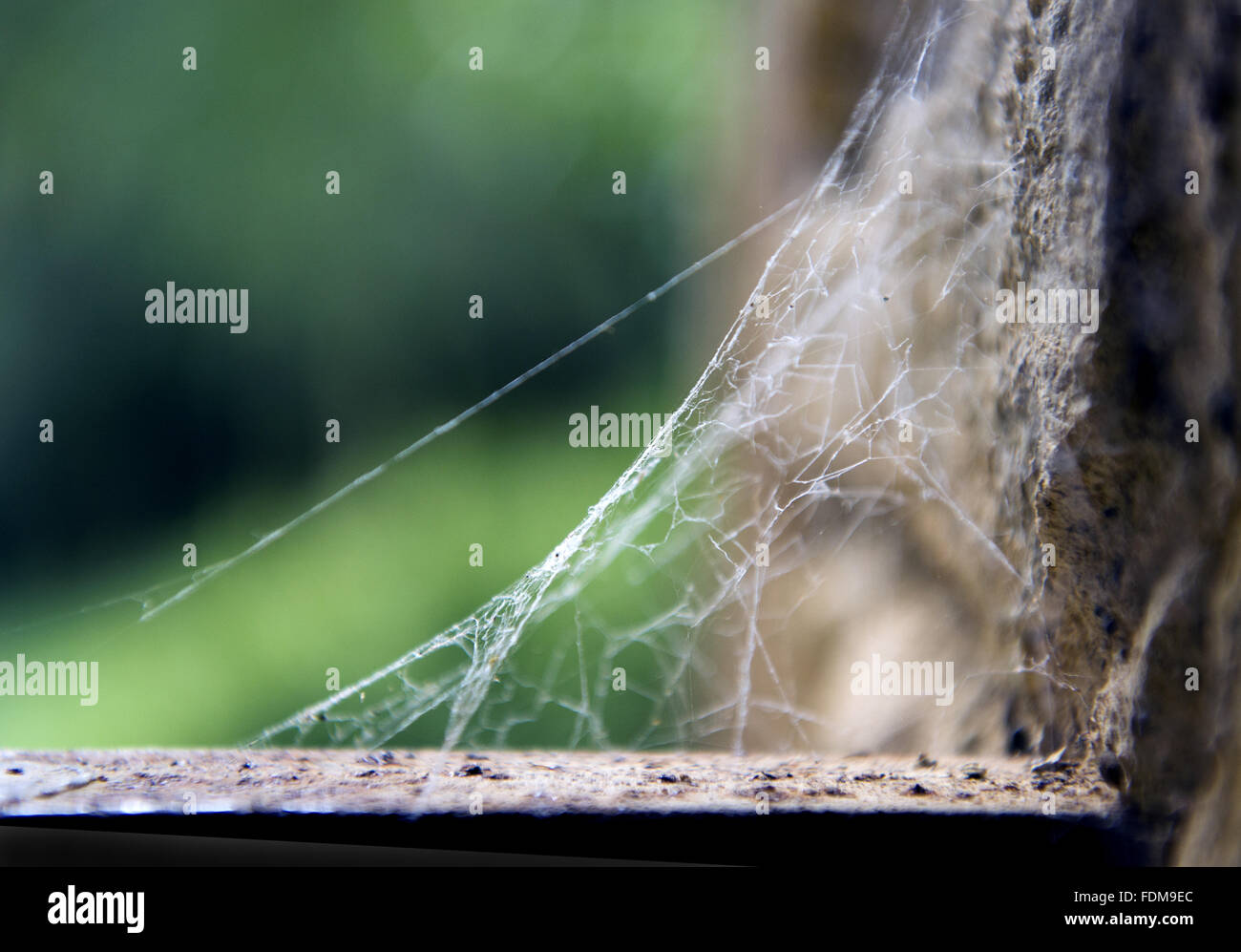 Cobweb on the metal of the window in the Grotto at Stowe Landscape ...