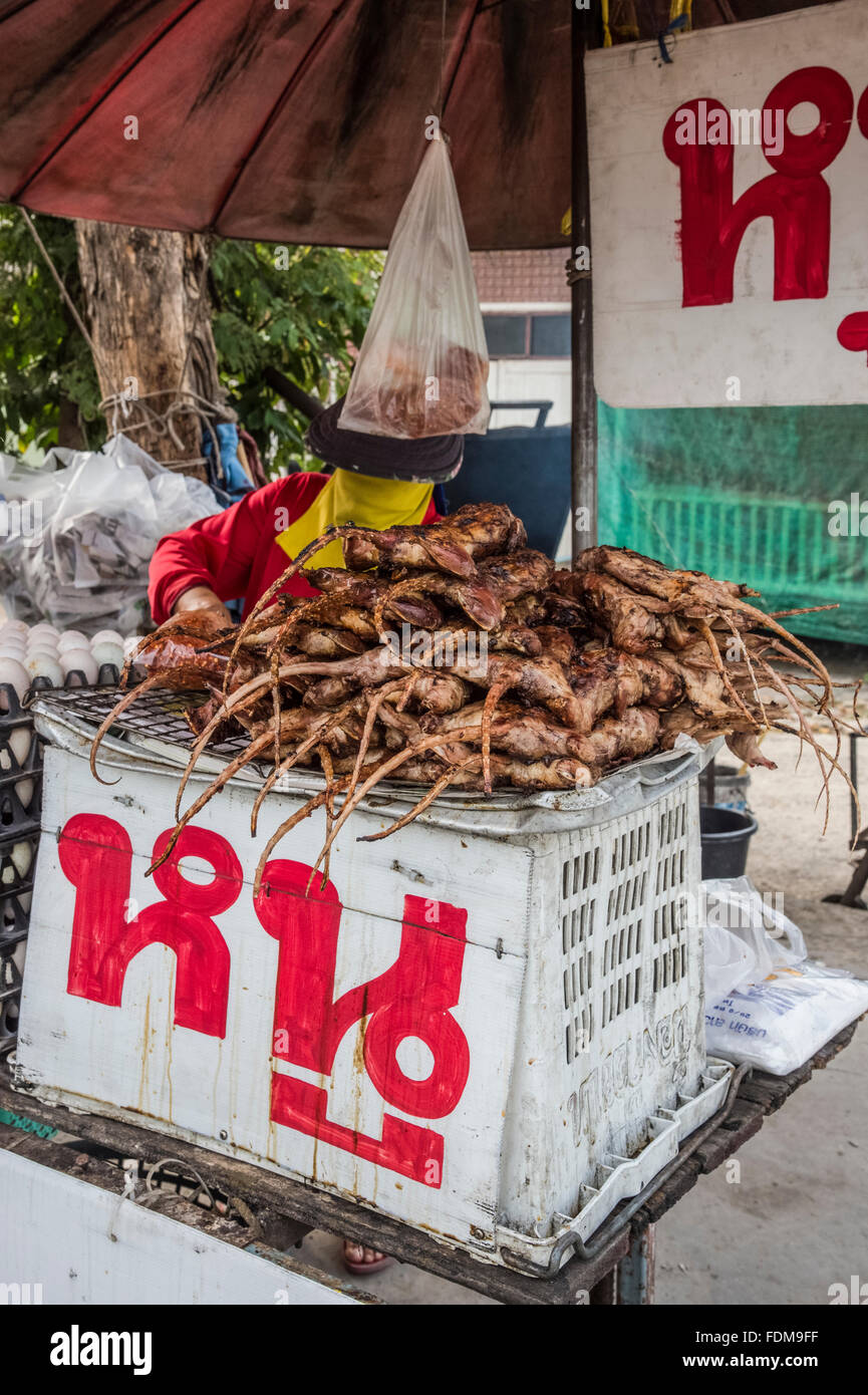 Rodents in asia High Resolution Stock Photography and Images - Alamy