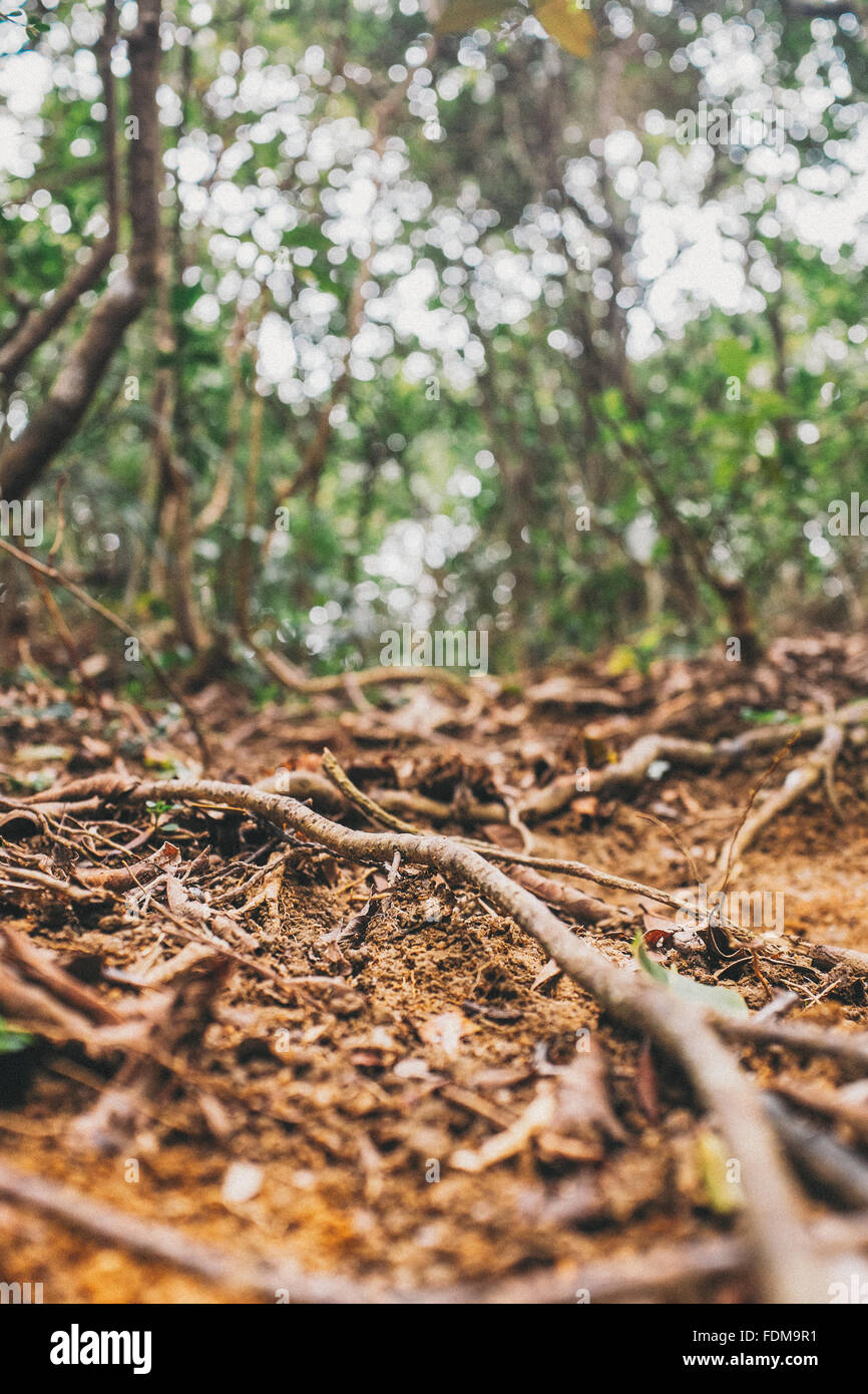 Difficult hiking trails hi-res stock photography and images - Alamy